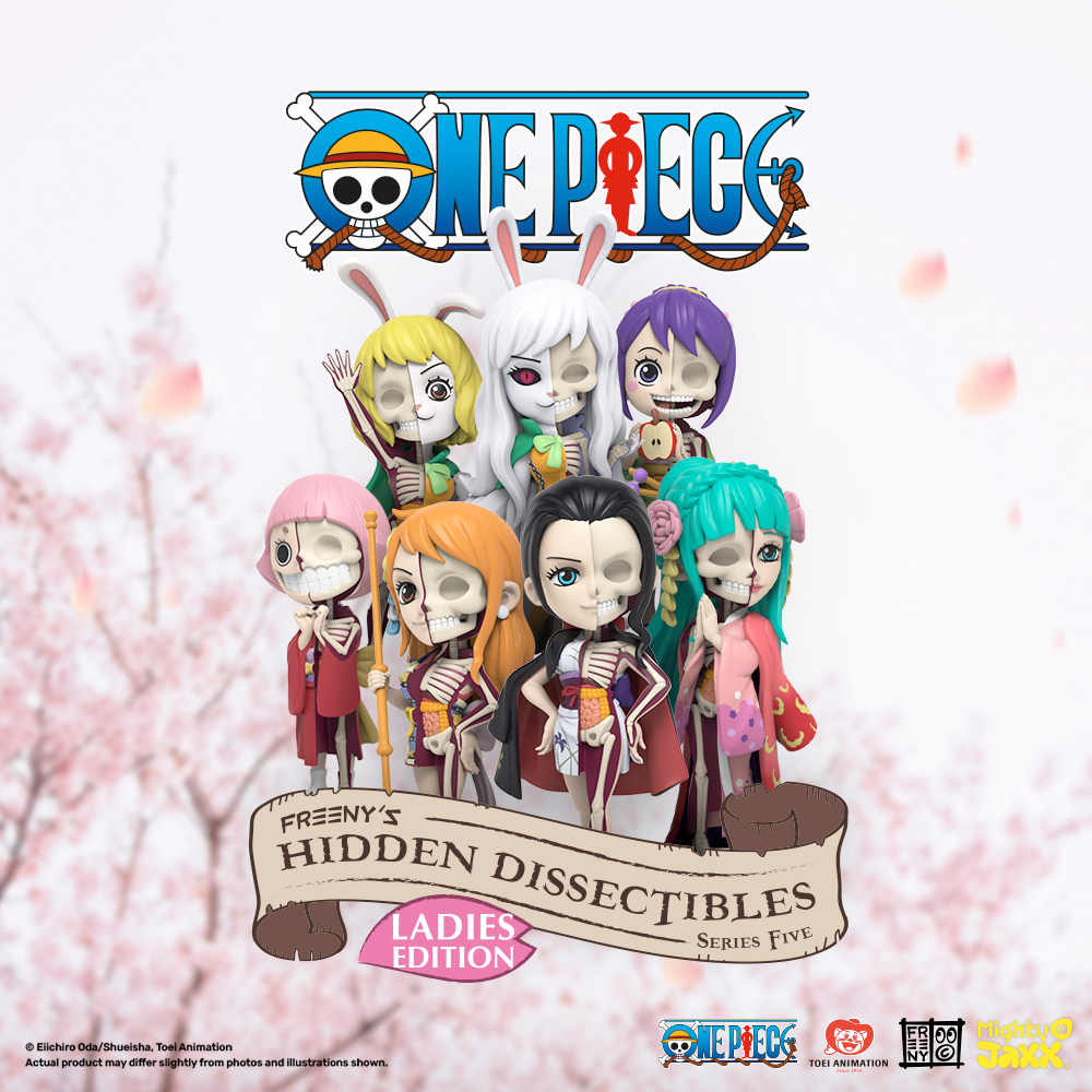 Copy of Toei_OnePiece_FHD_Series05_Navigation Bar Images – NERDGEIST